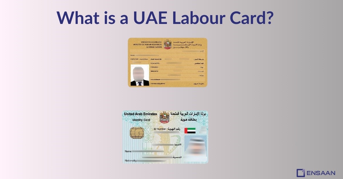 UAE Labor Card 2025: (The Complete Guide)